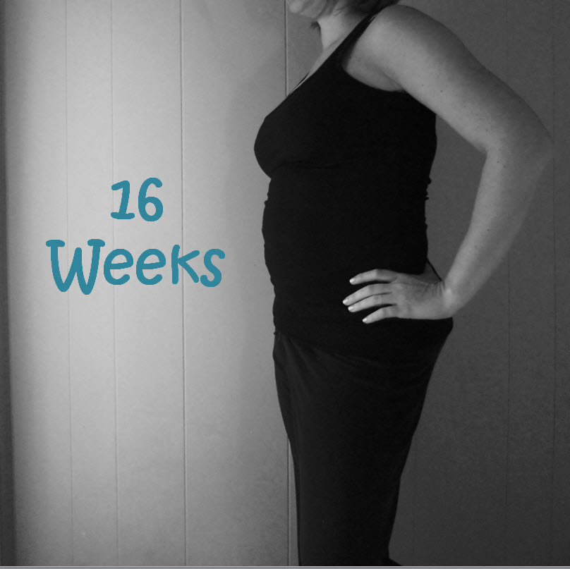 the Wilson life: Weeks 16 and 17