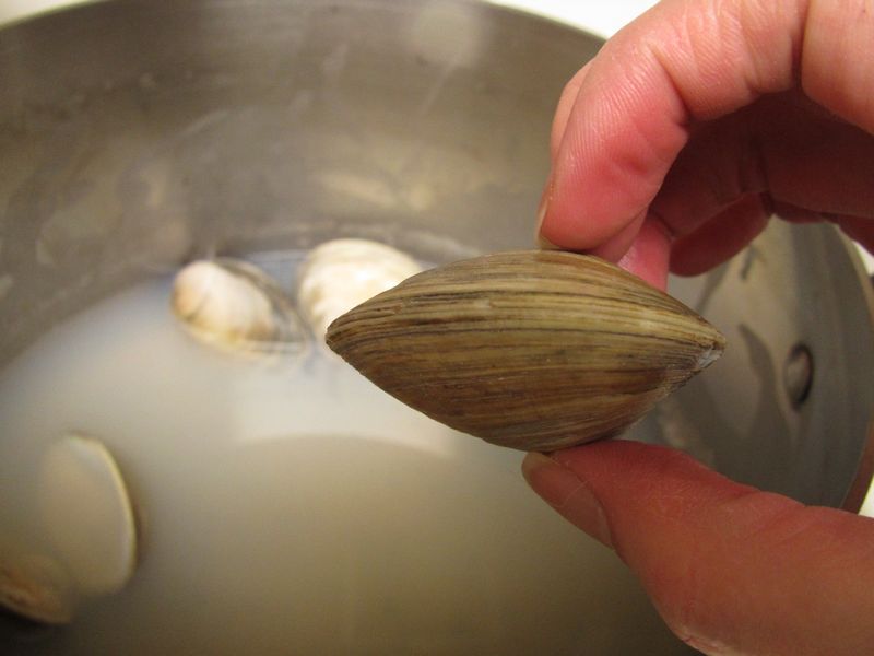 Fresh Brioche: Clam Chowder