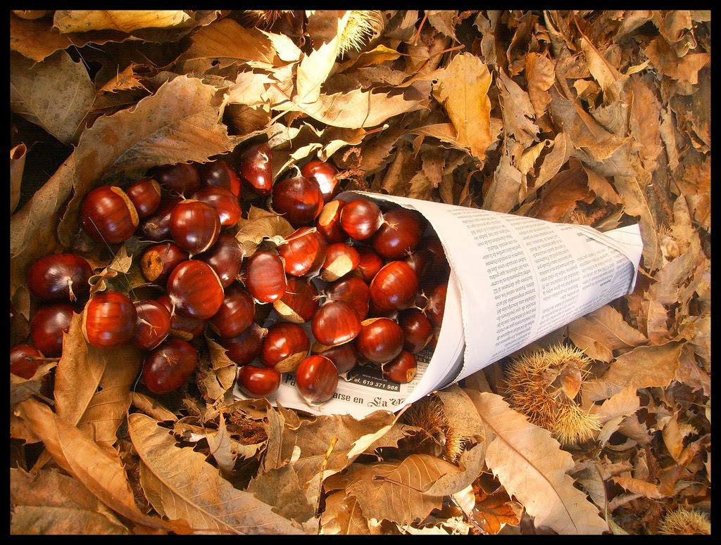 Musutruka: Castanyada