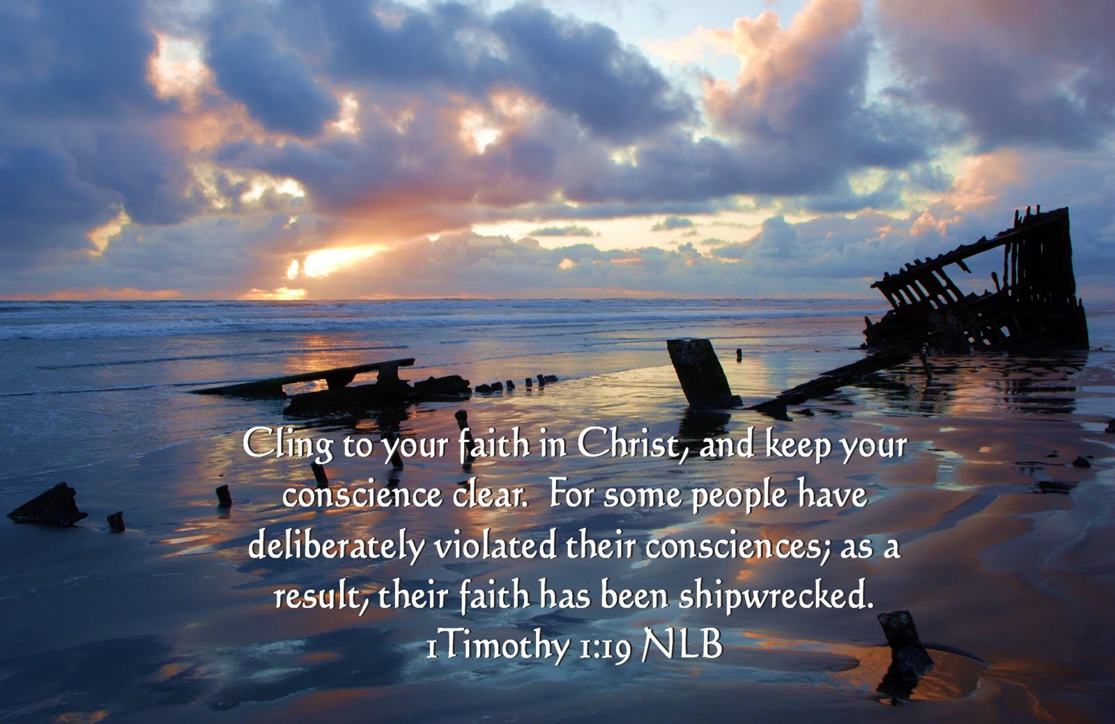 The Shipwrecked [1994] - clmaster