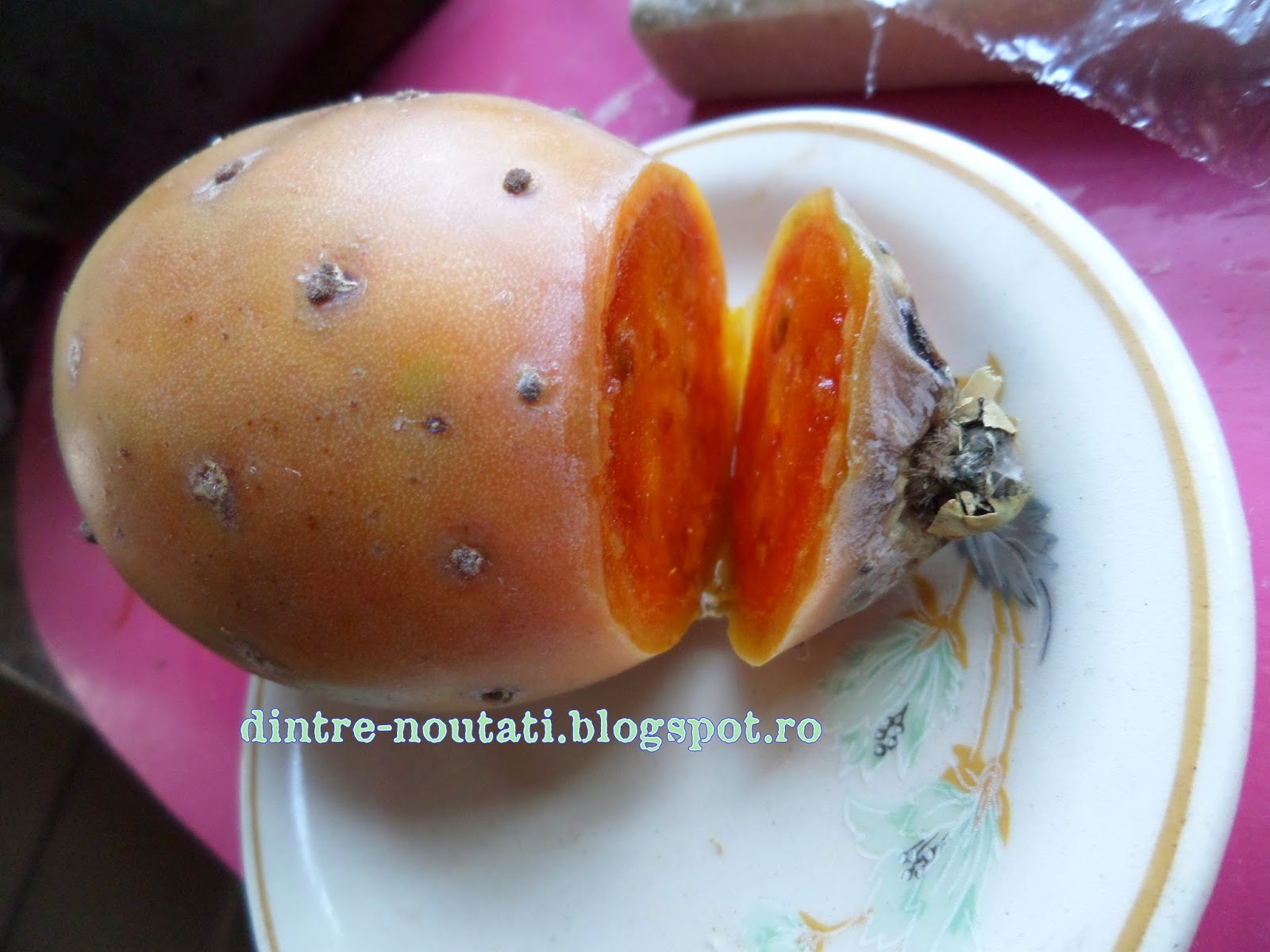 Fructele de cactus | D-Nblog. Păreri sincere despre produse noi.Testez ...