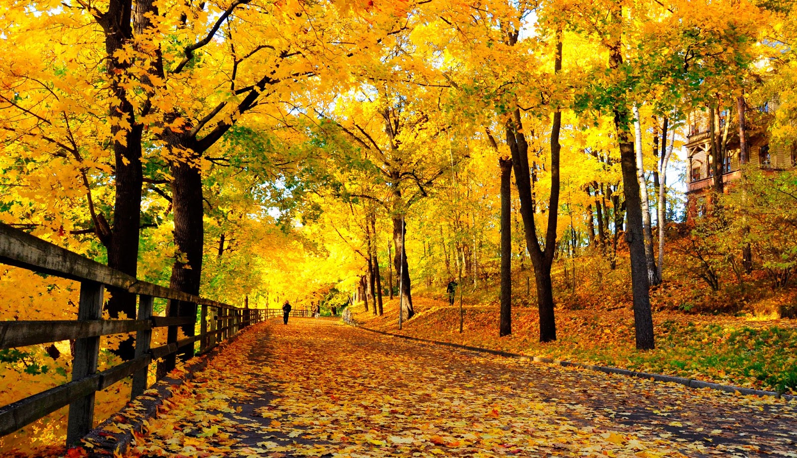 pristianmega: Autumn is coming pristianmega: Autumn is coming