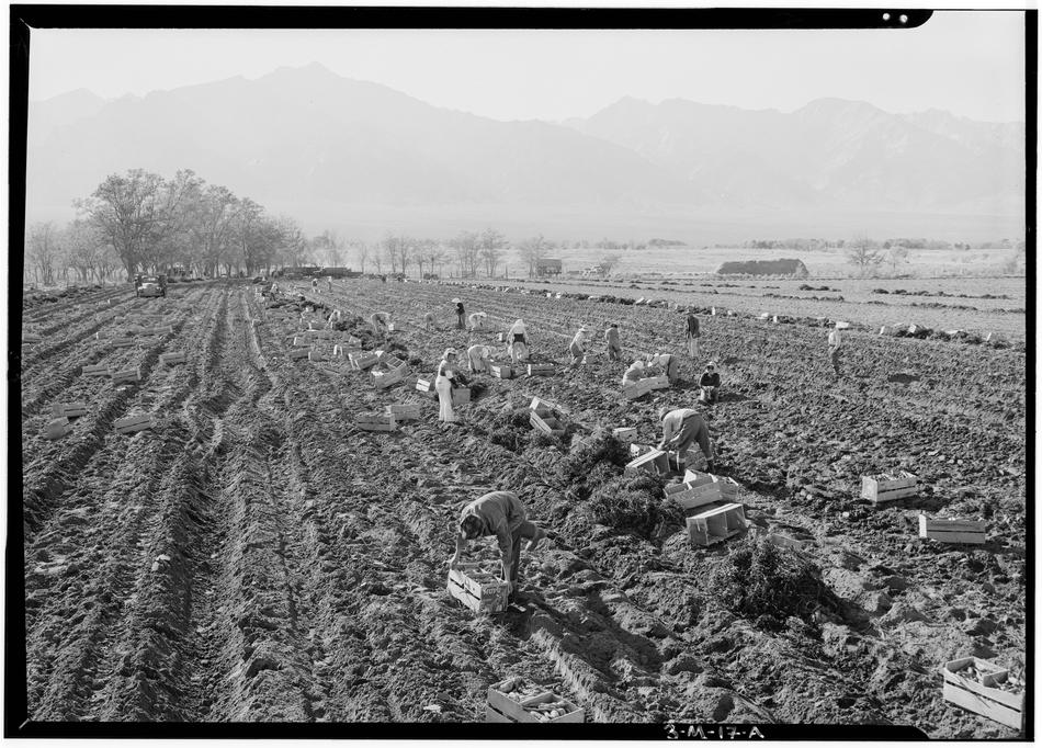 Pictures of Daily Life of Japanese Internment at Manzanar Camp in 1943 ...