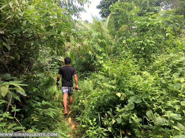 SIRANG LENTE | TRAVEL & HIKE: AMANDARAGA FALLS, EASTERN SAMAR: TRAVEL ...