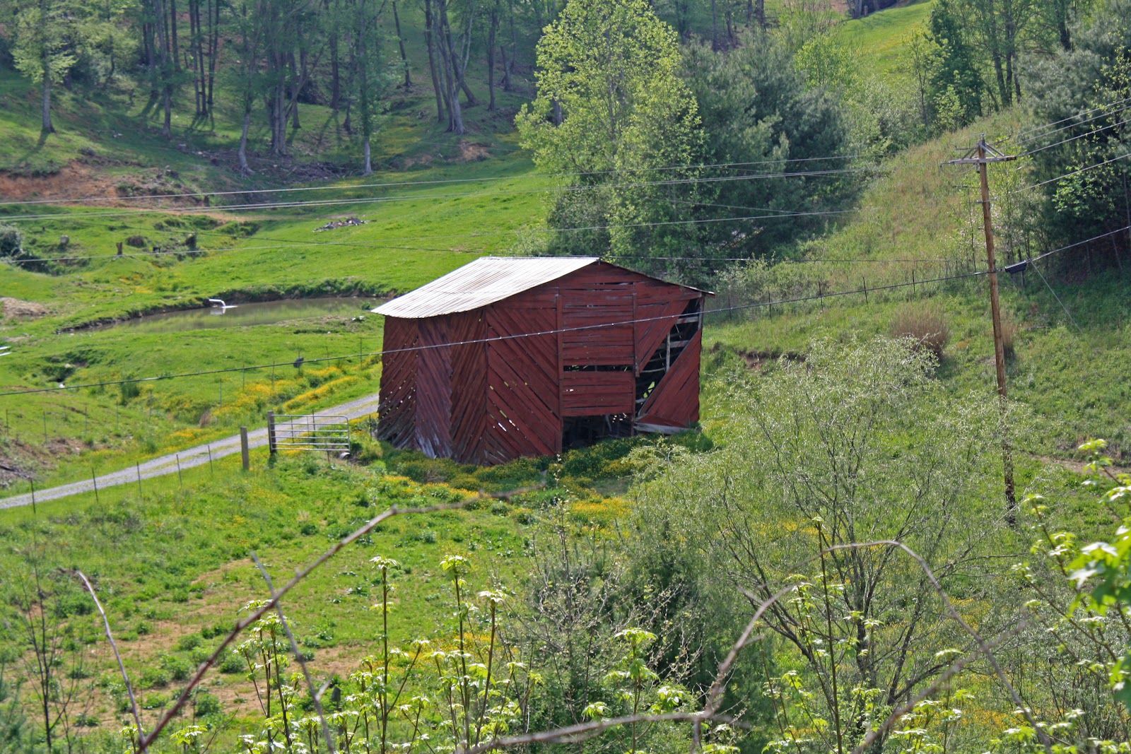 Who's learning? Who's teaching?: North Carolina barns