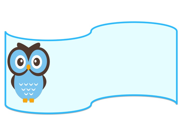 Stellar in Sixth: Owl Themed Name Tags