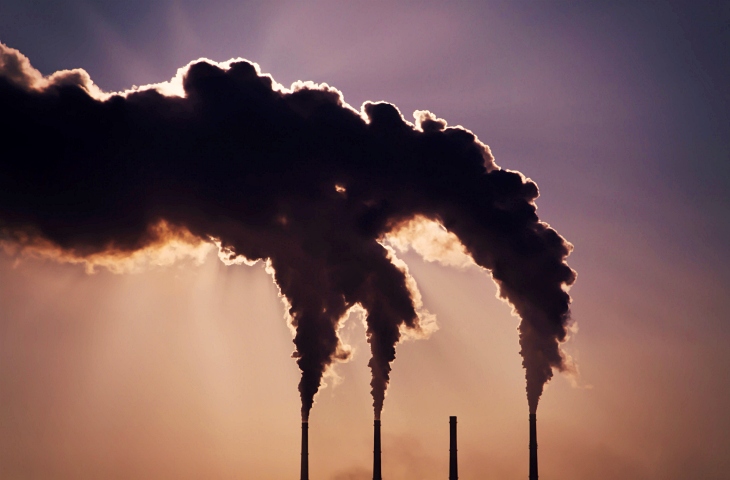 La emergencia climática ya fue declarada oficial por más de 11 mil ...