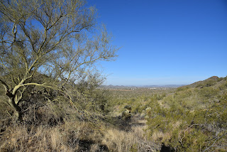 Arizona Hiking: Clay Mine Trail