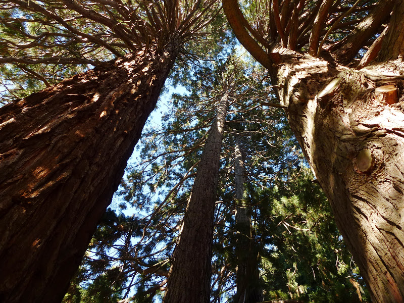 Hiking Oak Glen Preserve (The Wildlands Conservancy)