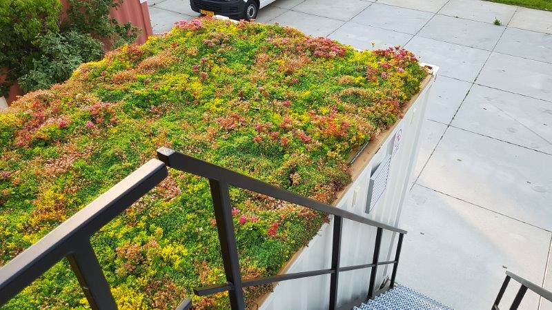 Shipping Container Homes & Buildings: Shipping Container Homes and ...