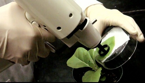 Crop Production | feedingtheworld