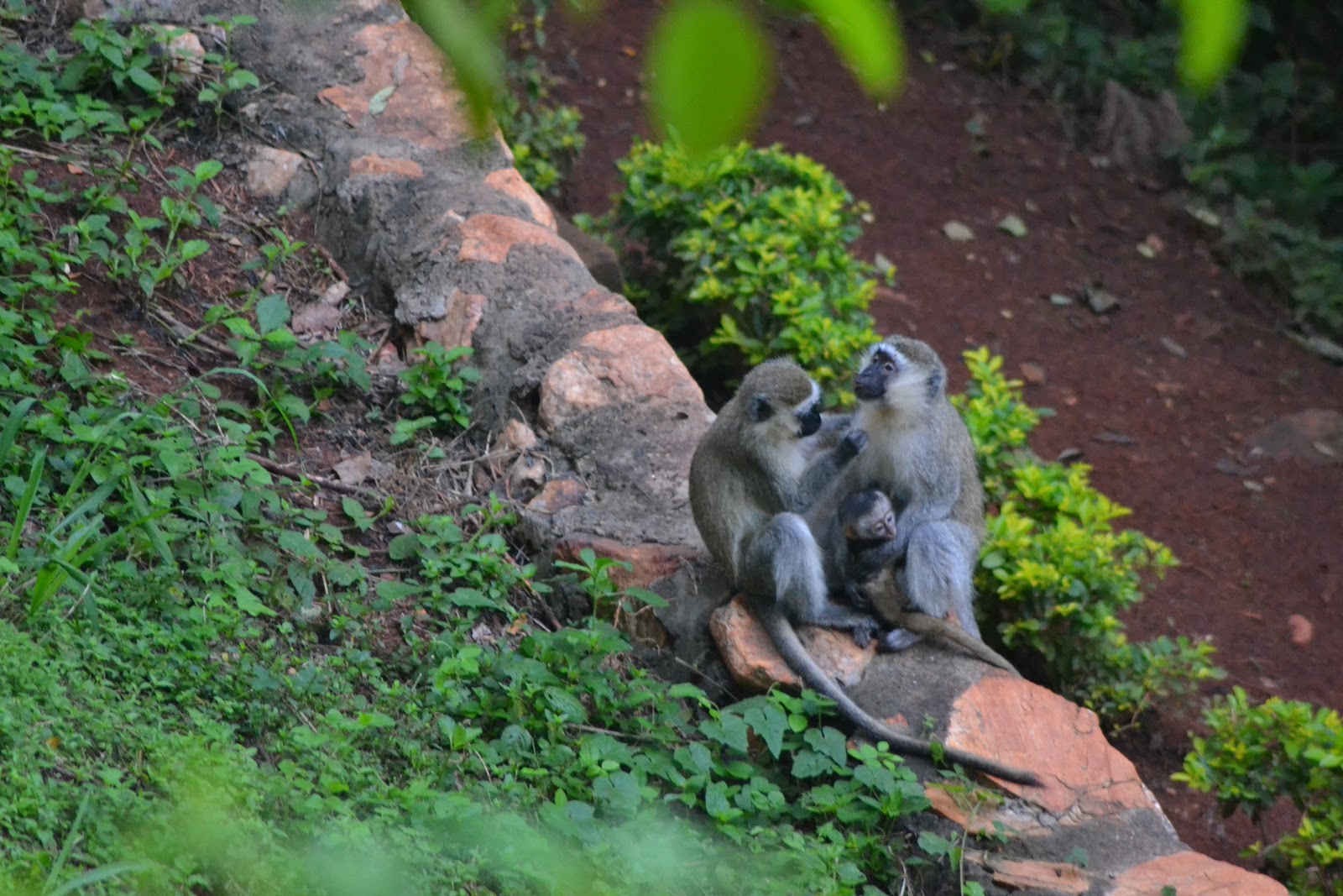Englishman in Uganda: October 2012