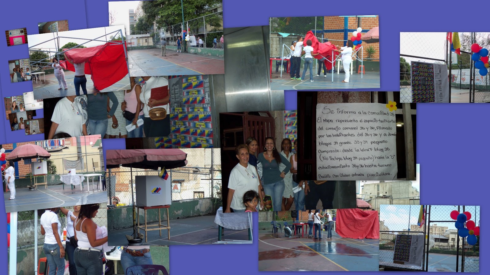 FLOR DE LOS 4 ELEMENTOS: MISION CUMPLIDA!!!