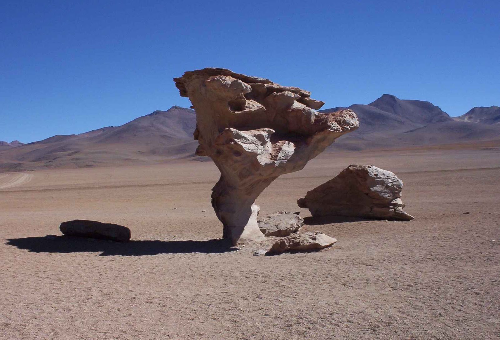 Jennifer Tetlow - Stone Sculpture Journal: Wind Worn Stone