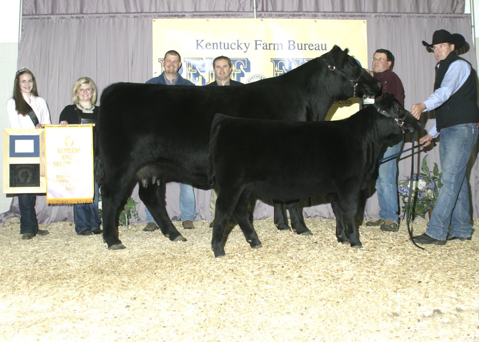Kentucky Angus Association: 2012 Sweepstakes Winners