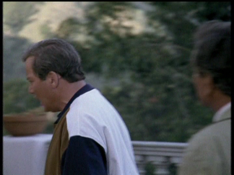 Shatner's Toupee: Columbo: "Butterflies in Shades of Grey" - a ...
