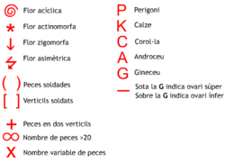 BIOLOGIA: FORMULAS Y DIAGRAMAS FLORALES