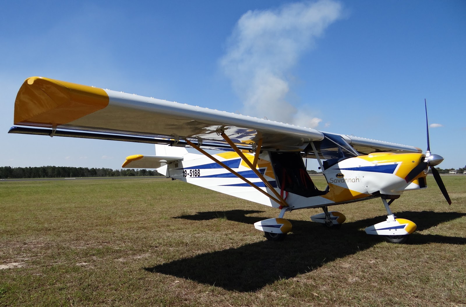 Air Queensland.blogspot: A quick look at the ICP Savannah