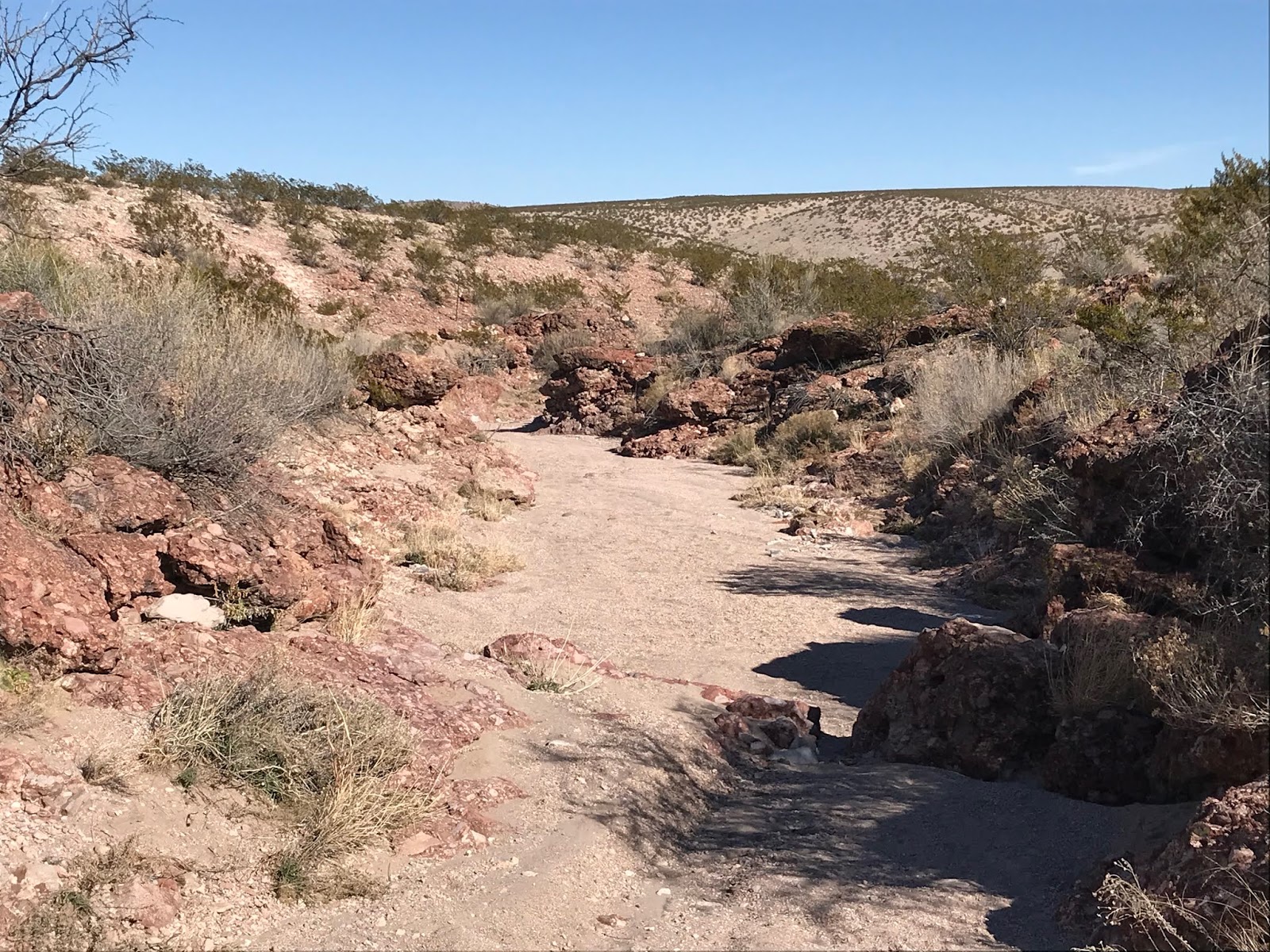 Southern New Mexico Explorer: Broad Canyon Wilderness, Organ Mountains ...