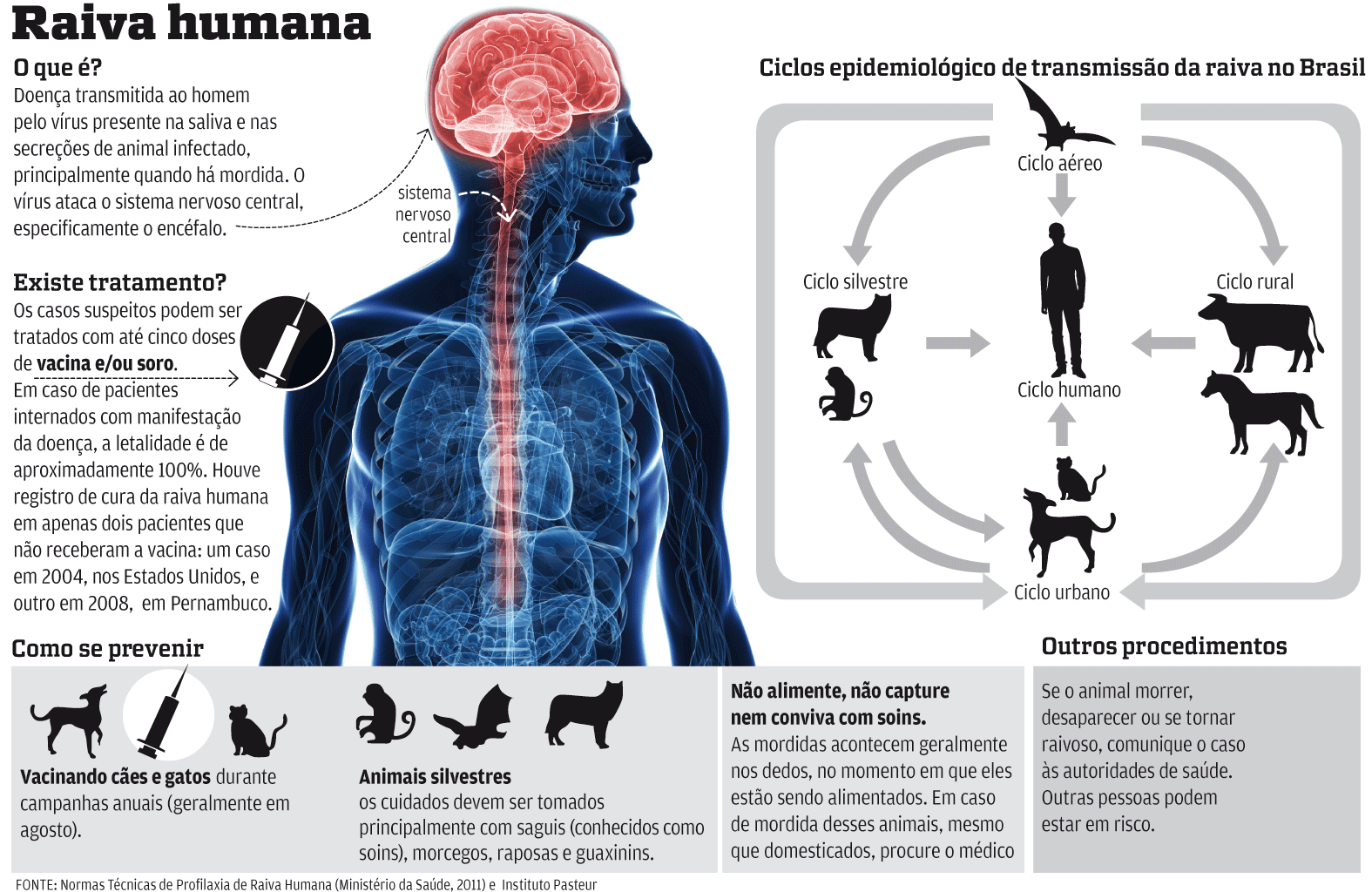 Ceará confirma 1º caso de raiva humana, após quatro anos