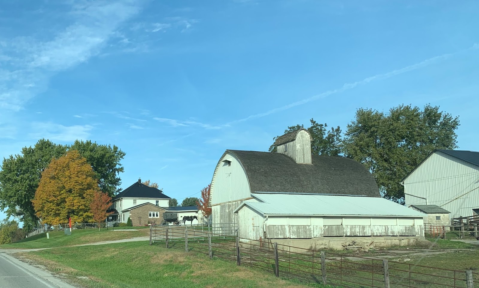 Amish Horses: Amish Farm Fall Tour
