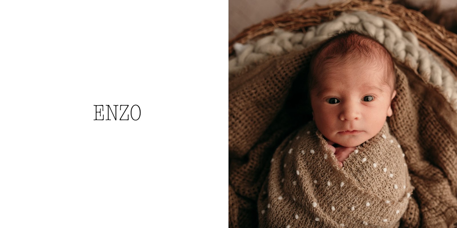 chocolate beige: Baby Enzo