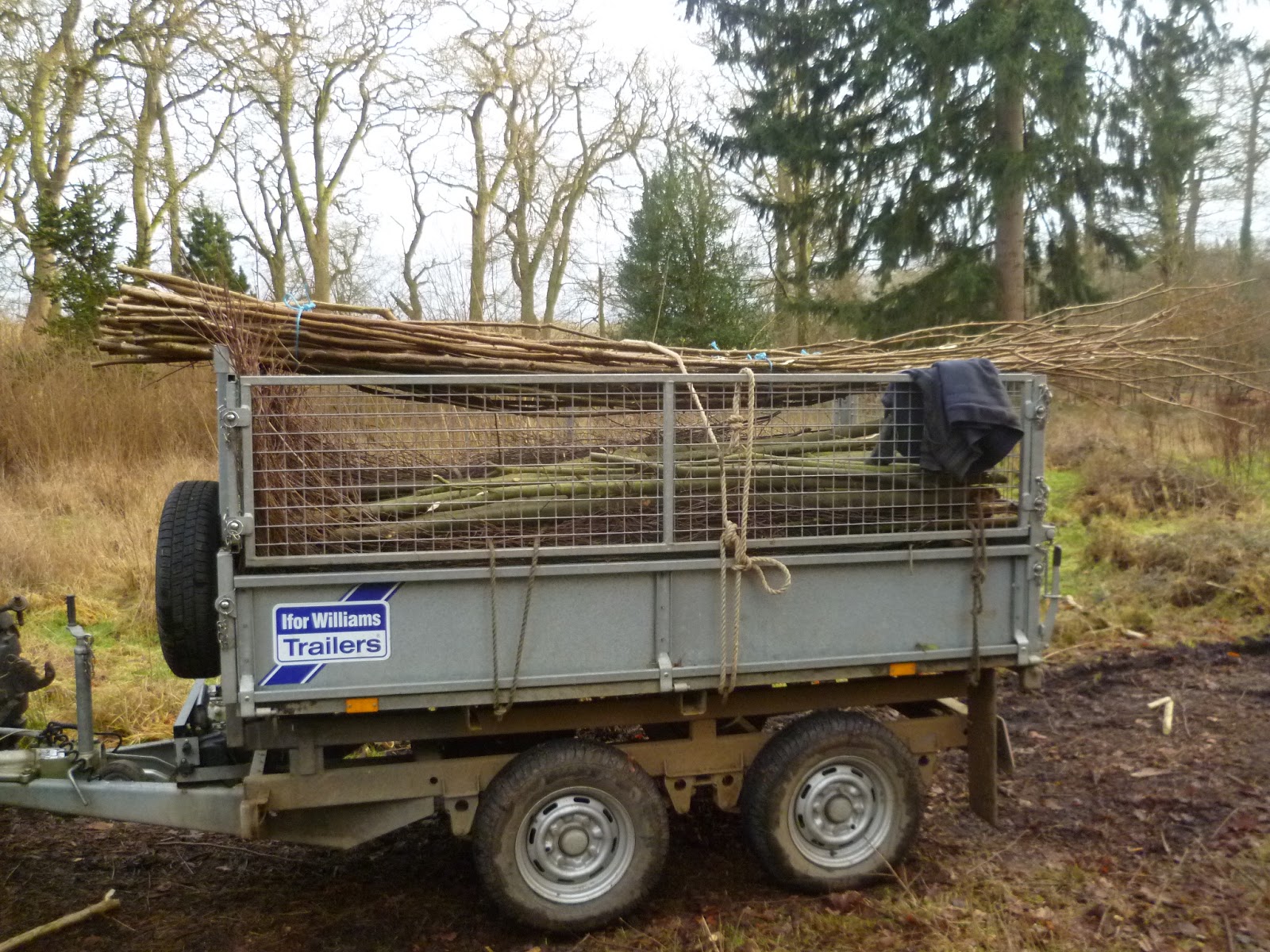 Worcester College Gardeners 2009-2018: Coppicing Hazel And Silver Birch