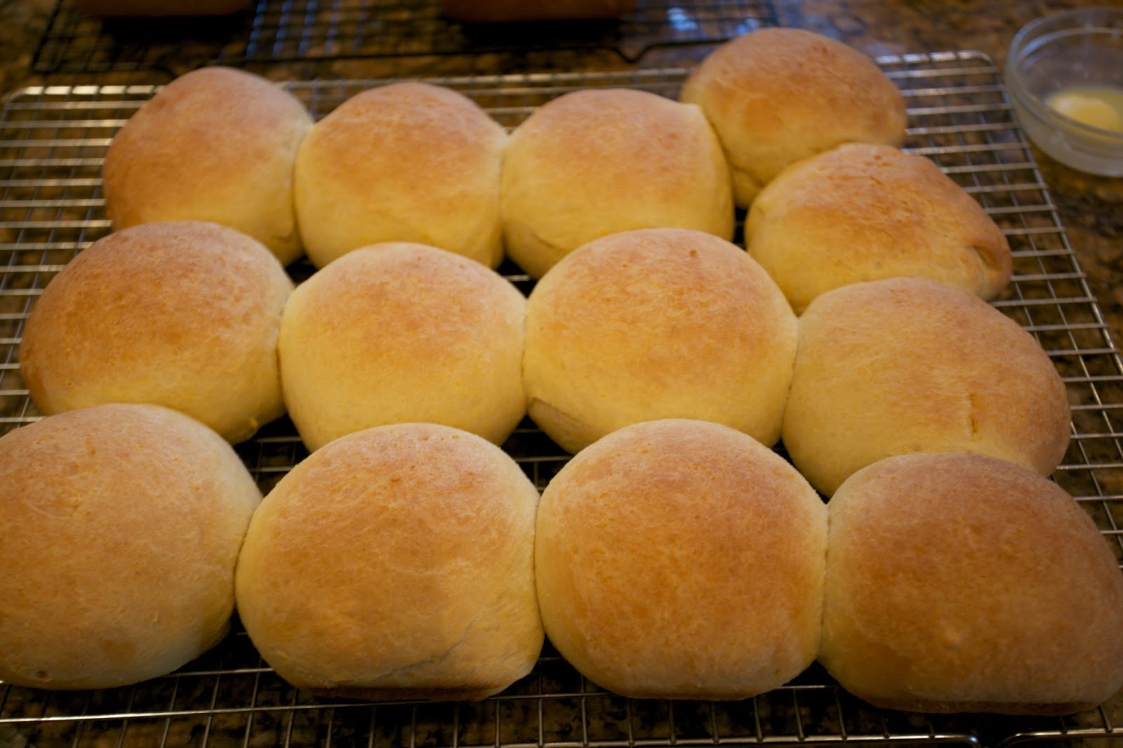 Fluffy Cornmeal Dinner Rolls