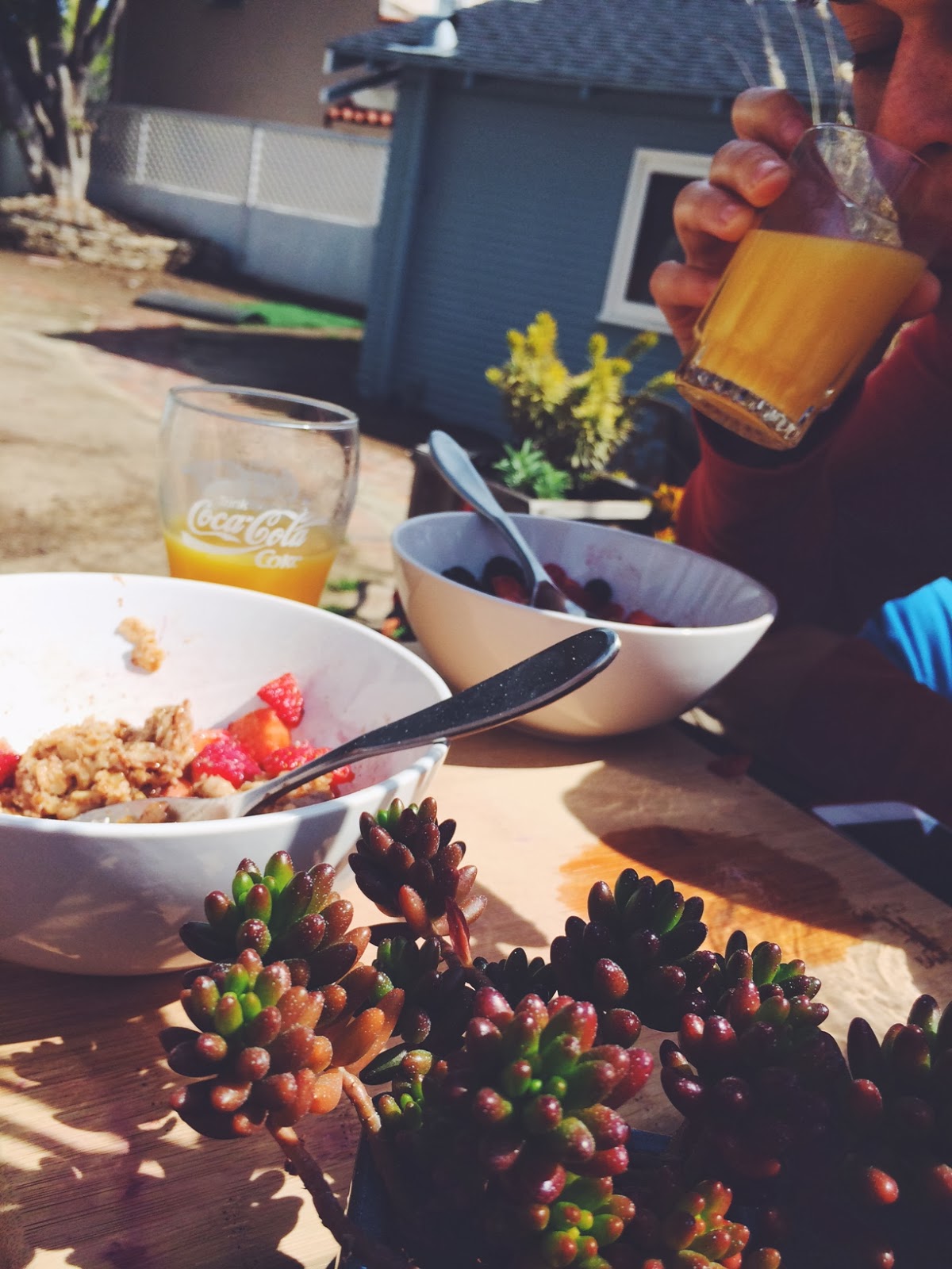 40 days fresh: Day #3 day off with an impromptu picnic dazzling delight