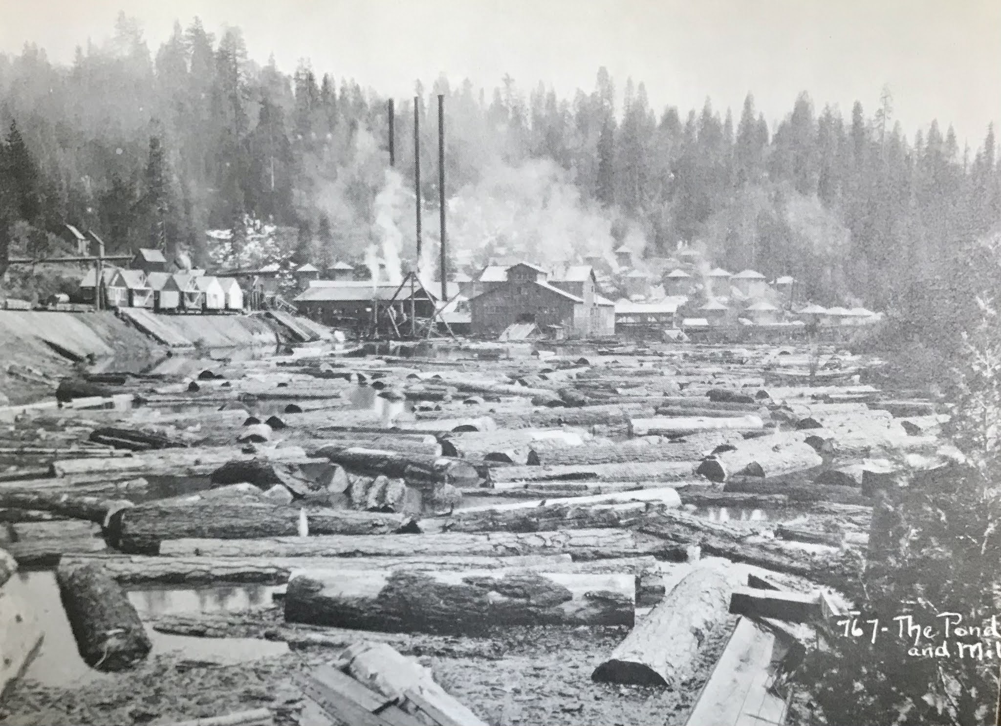 Modeling the Pickering/Madera/Sugarpine Lumber Co. Logging Railroads: 2021