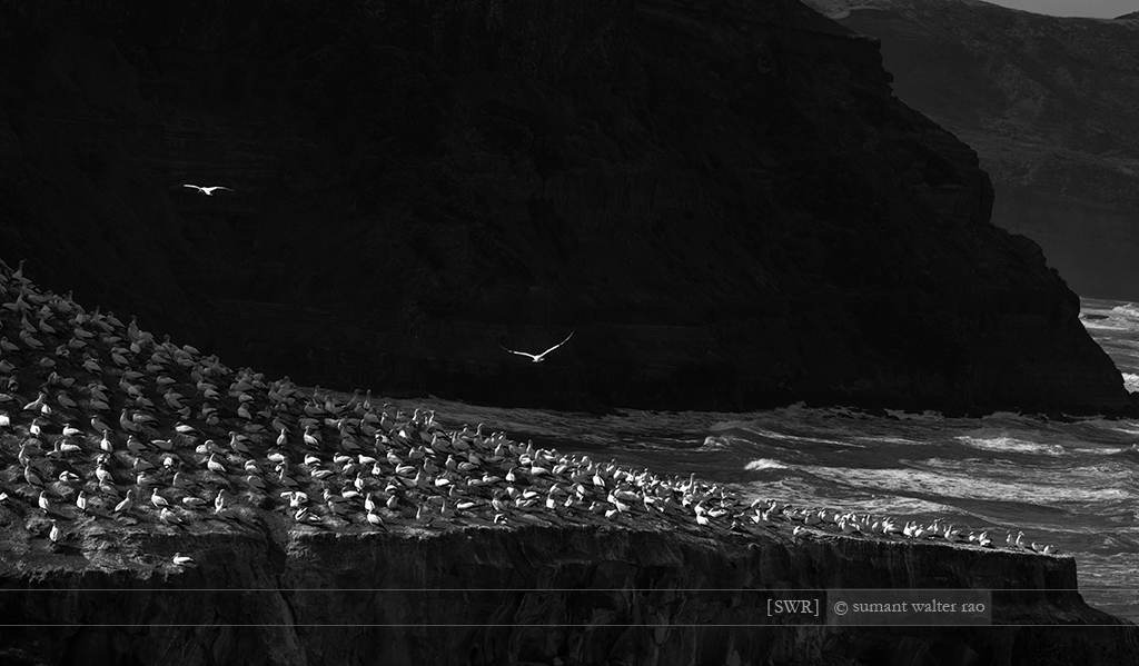 Sumant Walter Rao Photography: 2012