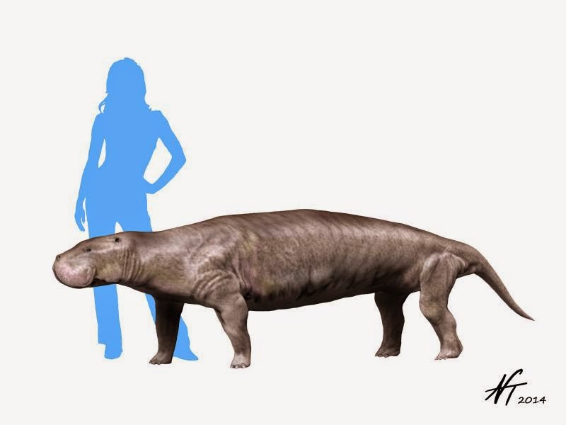 Pezosiren - Alchetron, The Free Social Encyclopedia