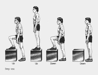 Ang Philippine Physical Activity Pyramid Guide para sa Batang Pilipino ...