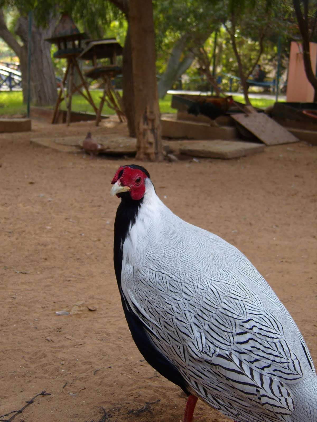 VOYAGE PHOTOS AU MAROC