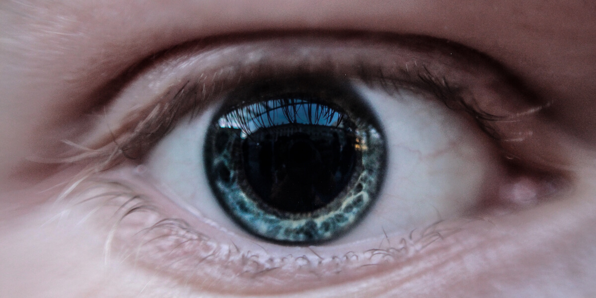Artificial Perceptions and Arbitrary Values: Those Eyes Artificial Perceptions and Arbitrary Values: Those Eyes