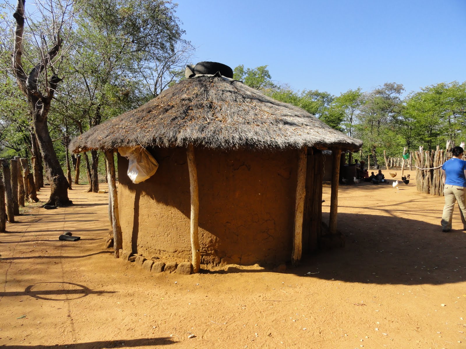 Jennifer's African Adventure: A visit to Amos' cattle post