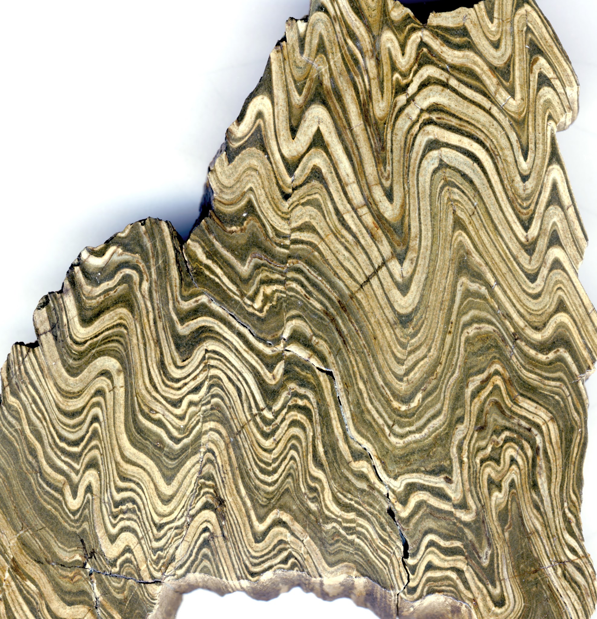 Fernando Bastida: FOTOS GEOLOGÍA (pliegues-folds)