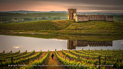 Castelo de Valongo | Portugal Turismo