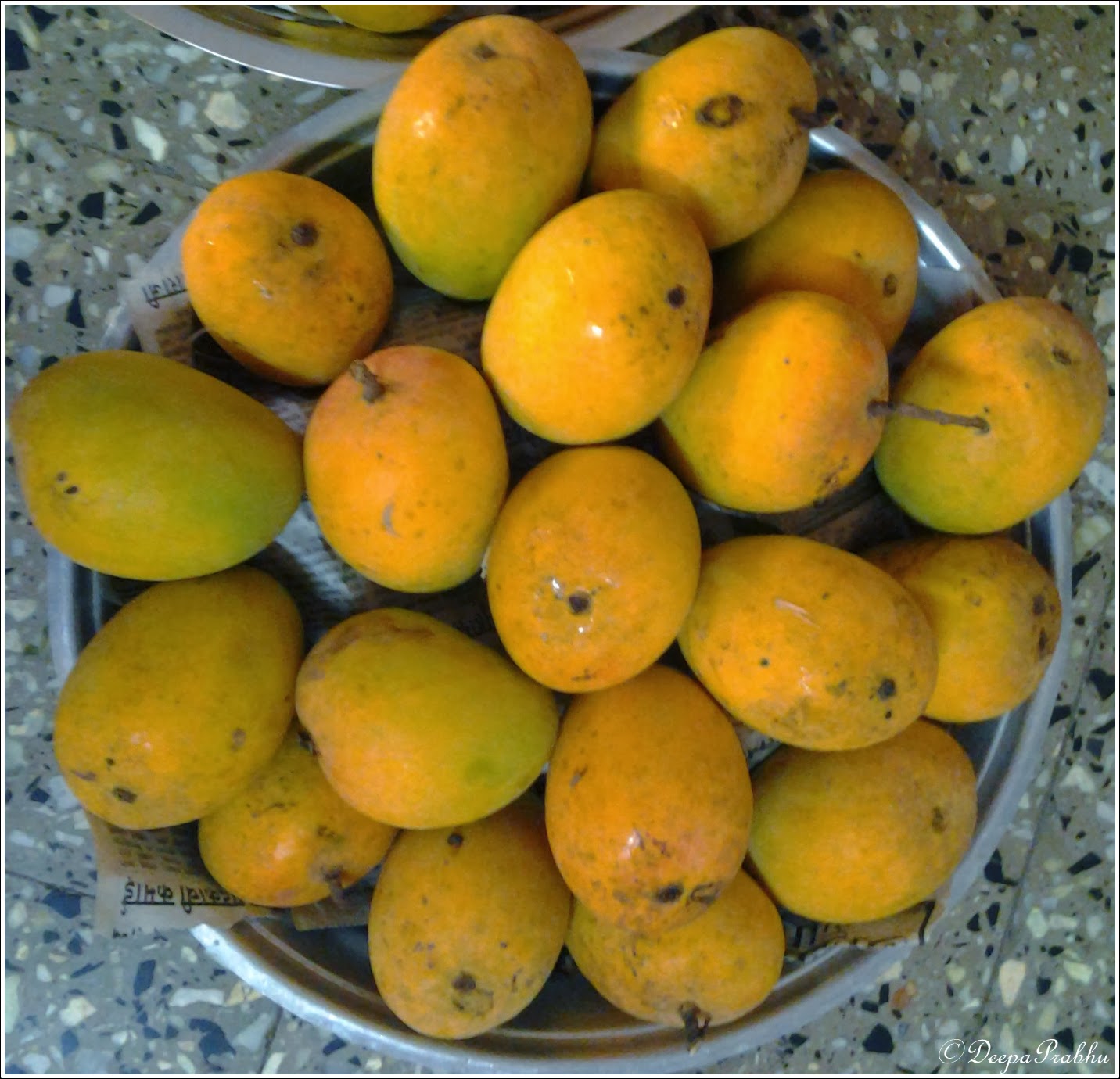 Journey of Mango from seed to Fruit - Random Photography