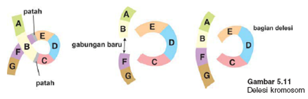 lebioging.blogspot.com: MUTASI