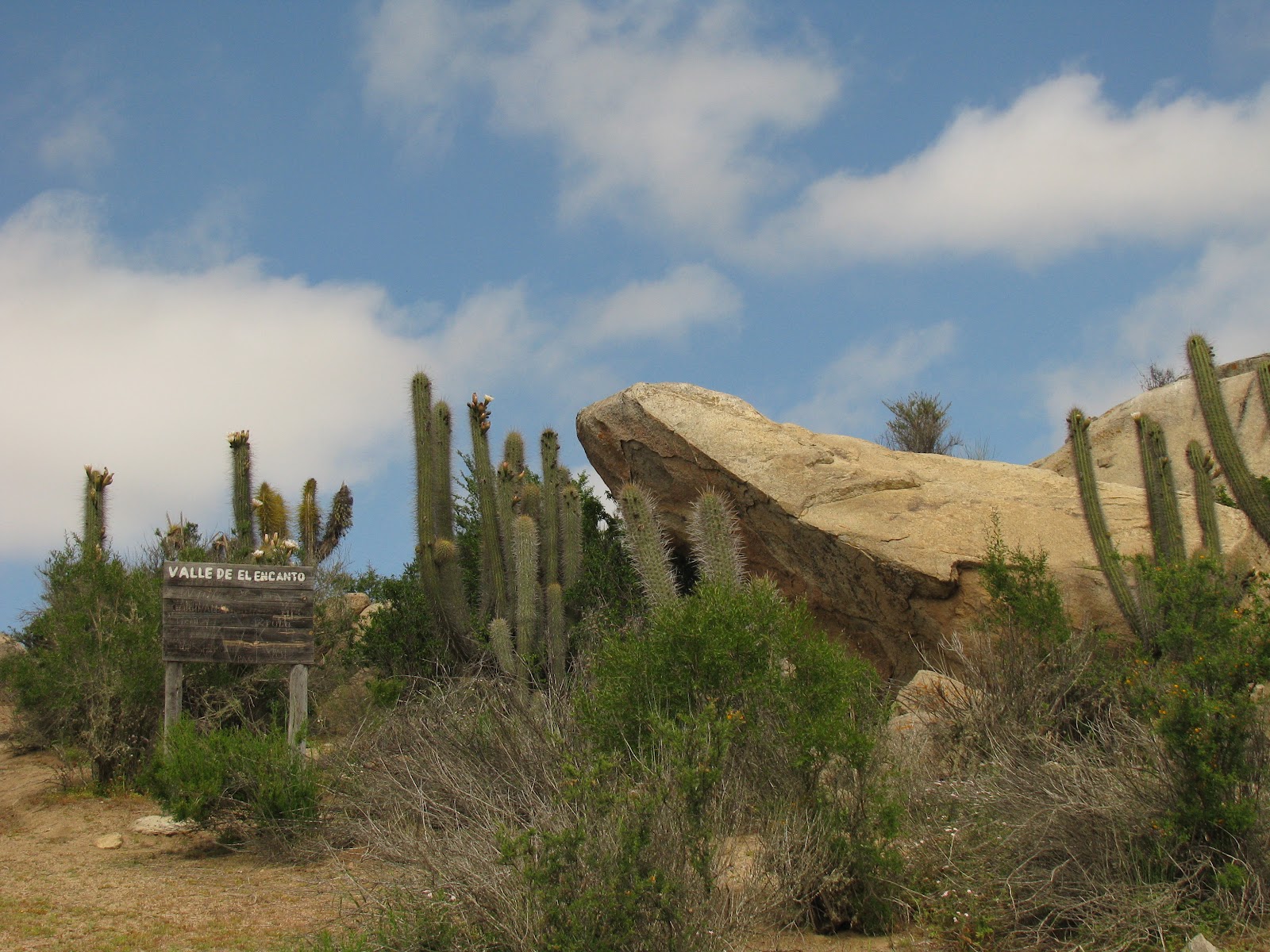 Los Molles del Valle del Encanto