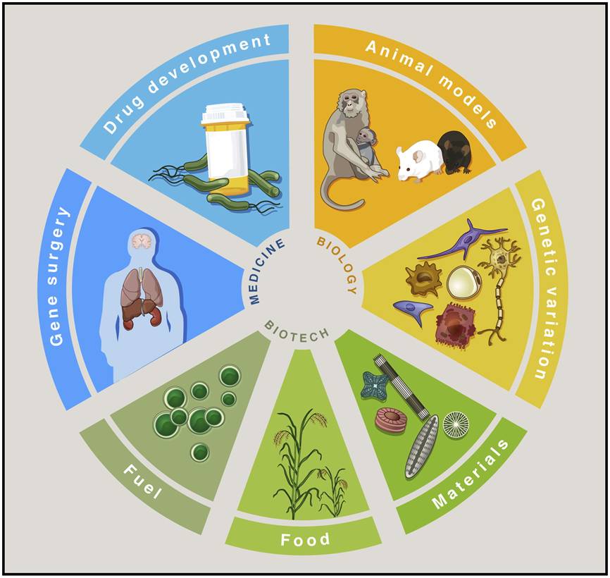 5 Quick Facts on CRISPR-Cas9 technology- A simple RNA Guided Gene ...