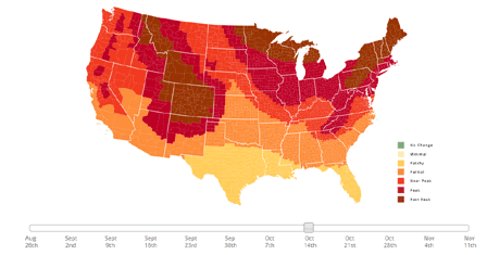 Maps Mania: Fall Foliage Maps