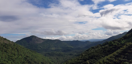 Kava Island Palakkad