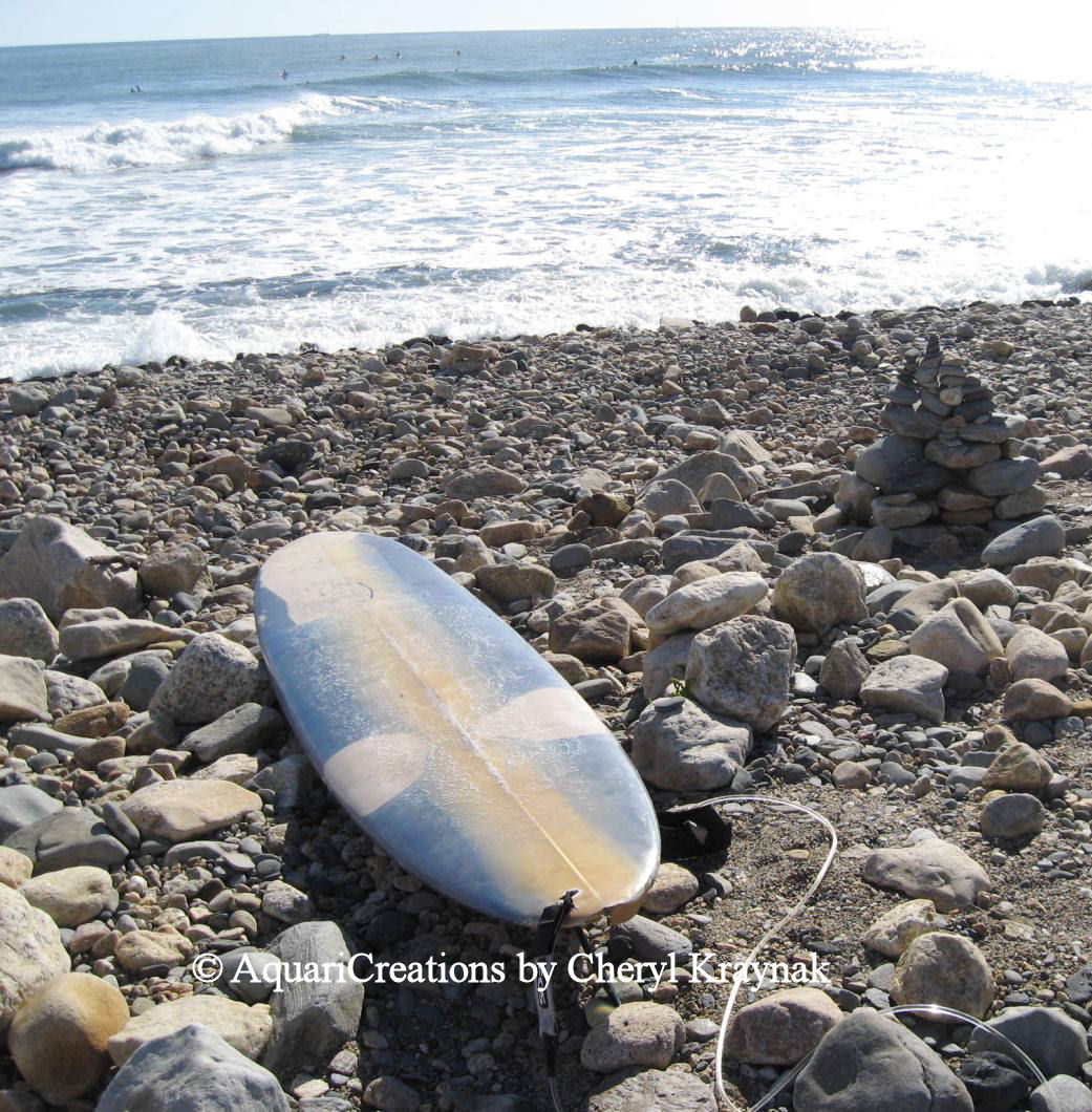 Windswept at the Beach: It was a Surf's Up! Sunday at Point Judith ...