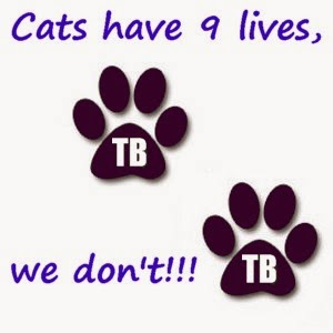 Cat-to-Human TB infection : First Documented Case! | iNVISIBLE YET ...