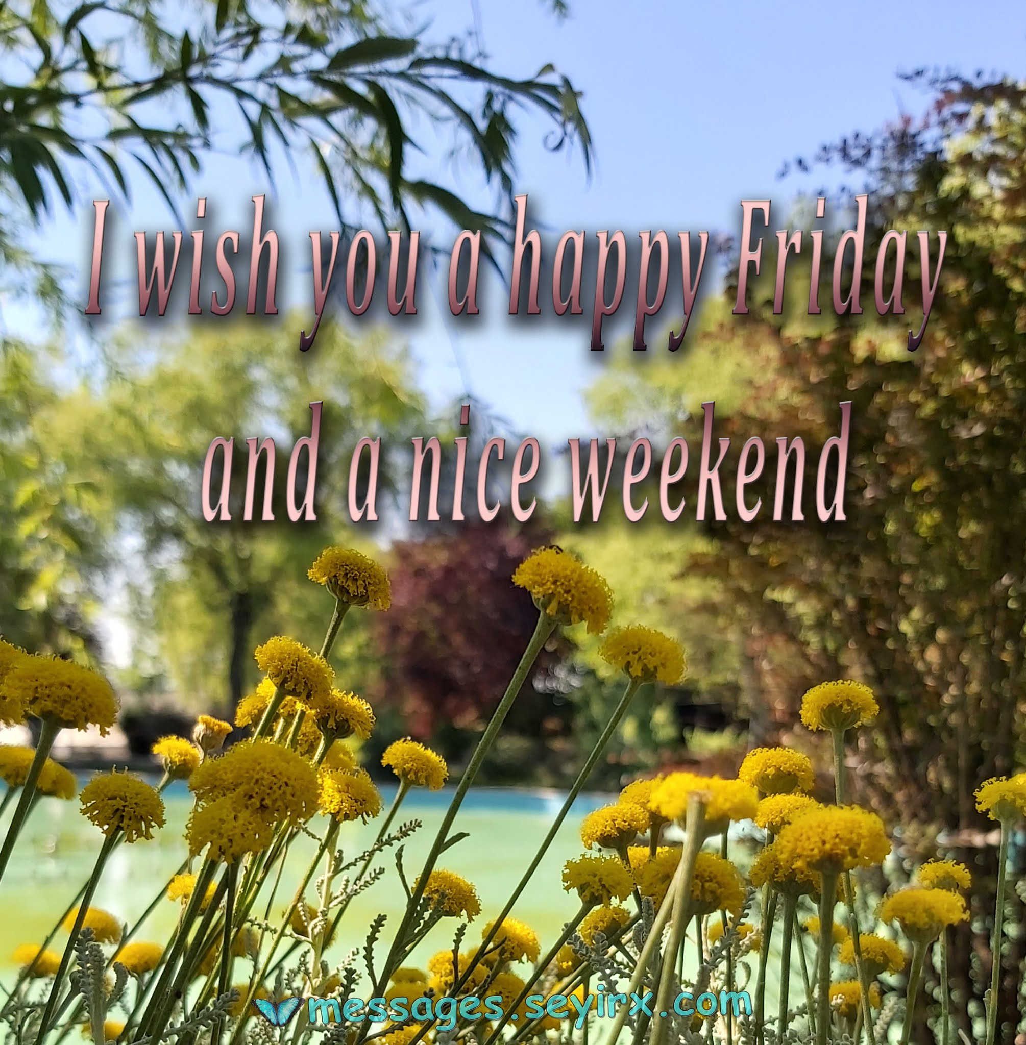 Happy Friday Nice Weekend images