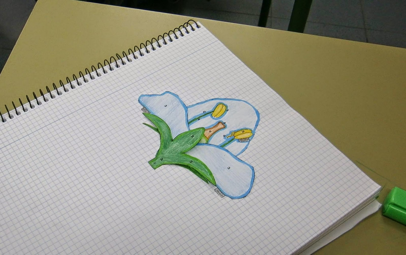 GERMINADOR DE SEMILLAS Y RECORTABLE DE LA FLOR