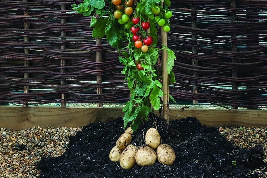 La Escalera de Iakob: Curiosidades (con fotografías)