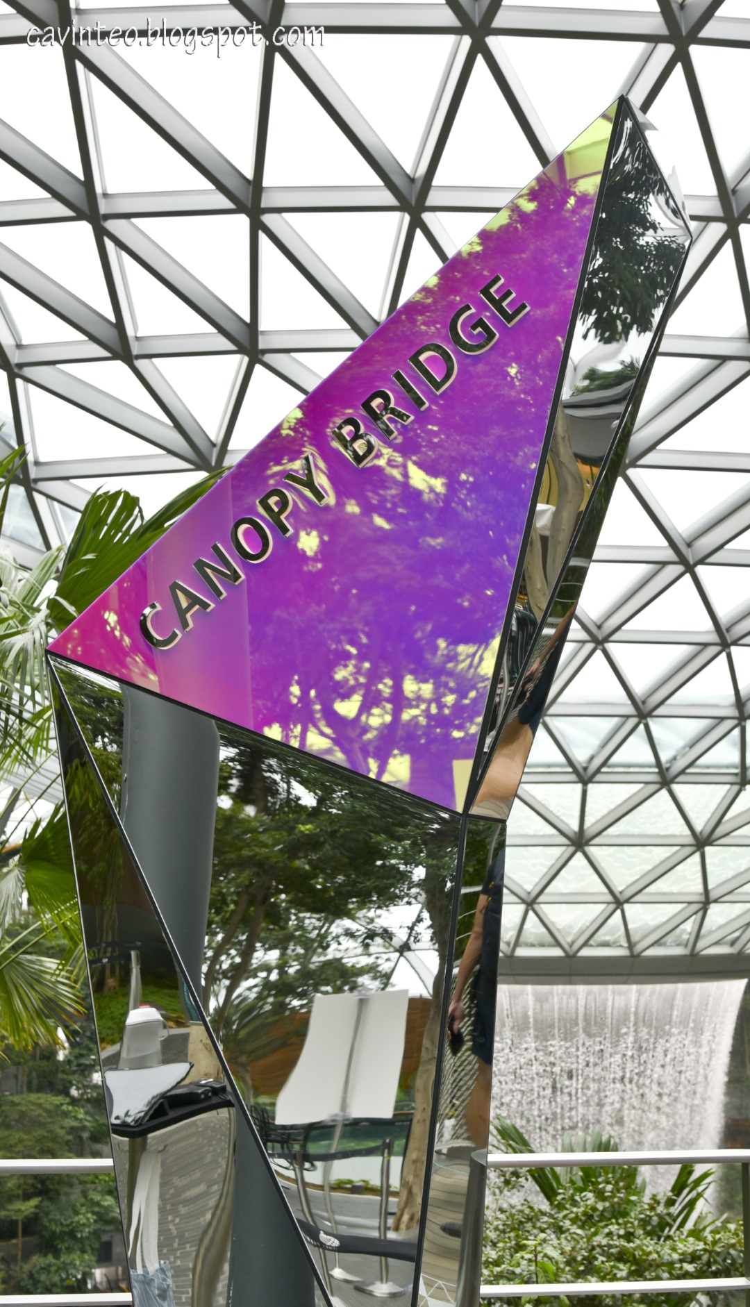Entree Kibbles: The Canopy Bridge @ Jewel Changi Airport [Singapore] # ...